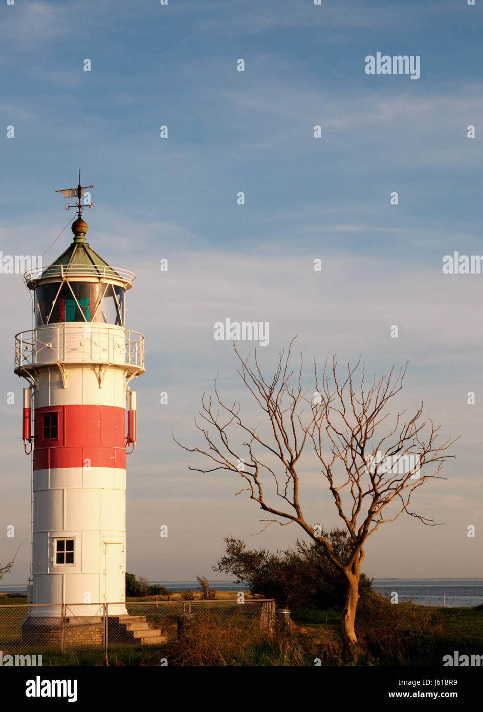 tree beacon salt water sea ocean water lighthouse tree navigation ...