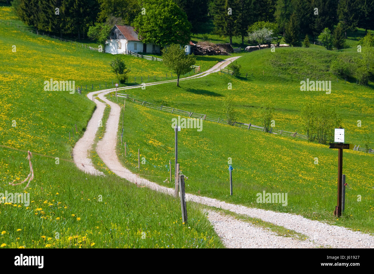 alp farmhouse path way rooftop old house building tree trees green wood ...