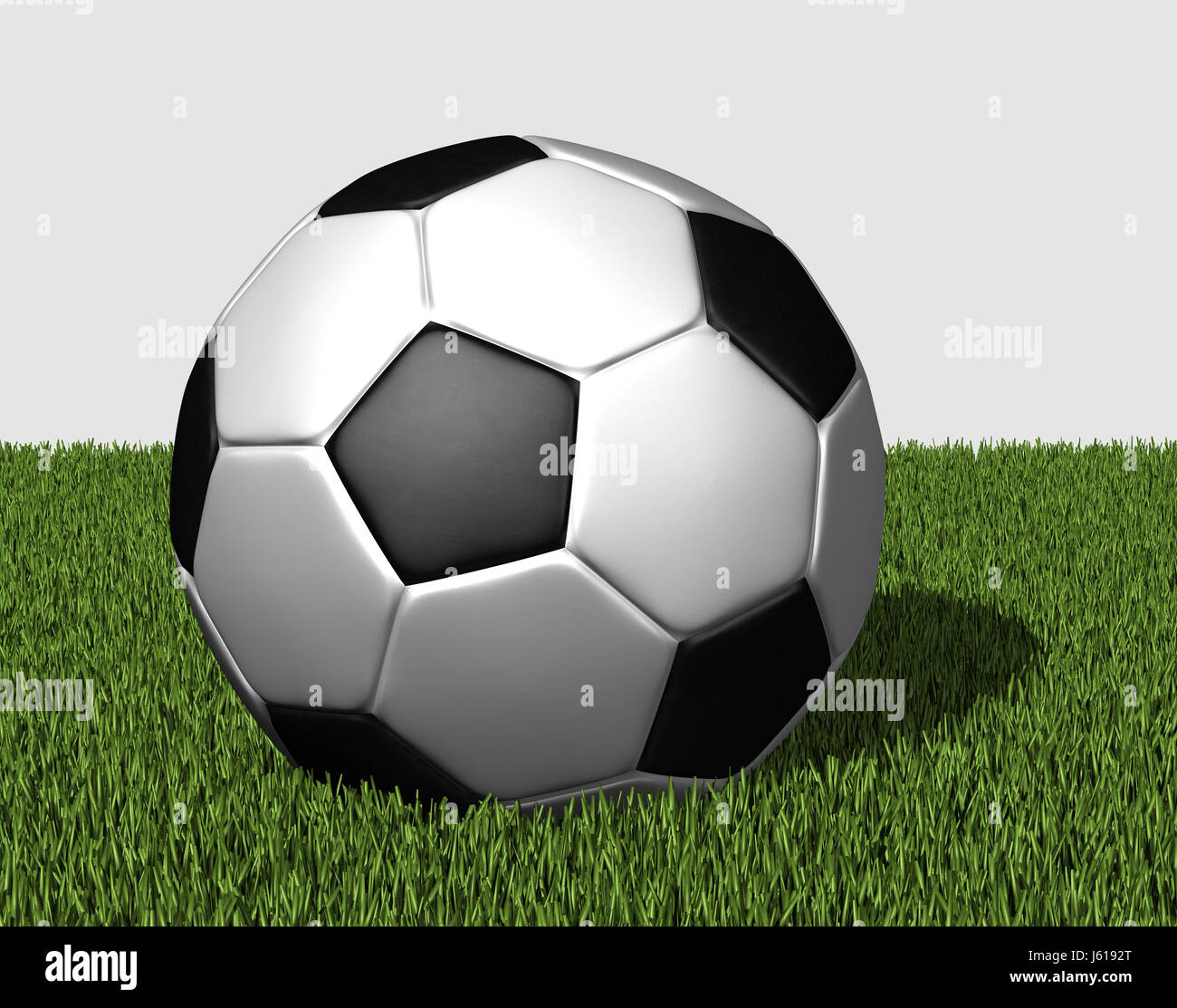meadow sport sports soccer football grass lawn green worms eye ...