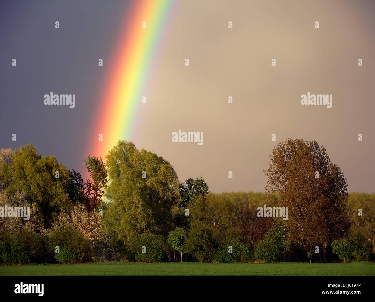 tree thunderstorm thundreous rainbow scenery countryside nature rain ...