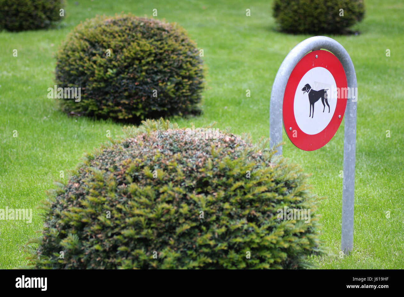 dog dogs ban sign signal prohibition sign illegal prohibited meadow ...