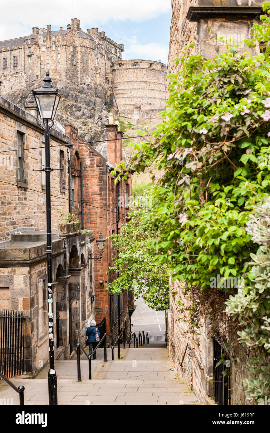 Vennel High Resolution Stock Photography and Images - Alamy