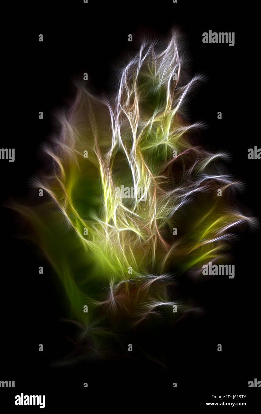 mass physics matter elemental structure tissue electrons neutrons ...