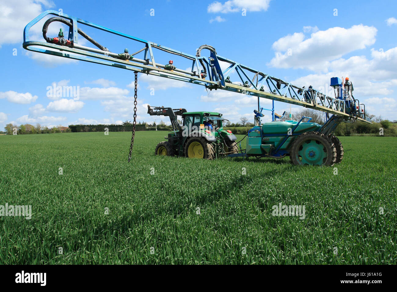 agriculture farming wheat environment agriculture farming field spring ...