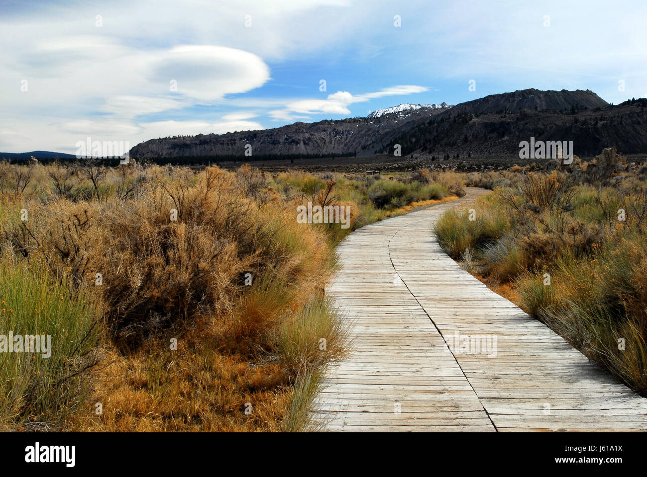 wood valley crooked warped hunchbacked humpbacked bowed bent curved ...