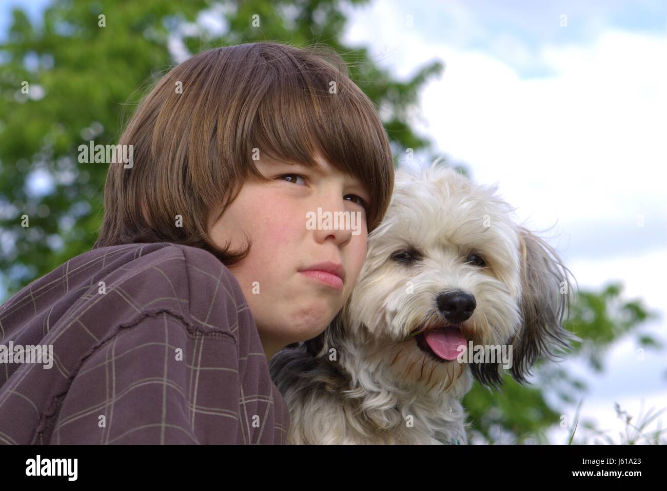 boy with dog Stock Photo - Alamy