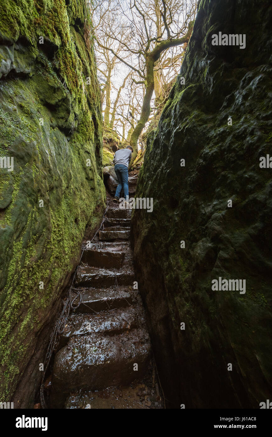The Devil's Pulpit gorge in Finnich Glen, Killearn, Stirlingshire ...