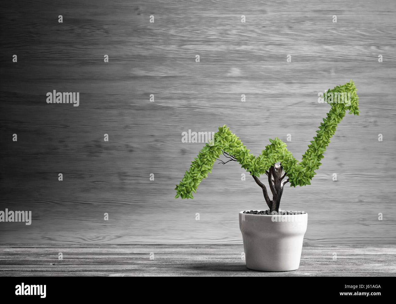 Concept of investment income and growth with tree in pot Stock Photo ...
