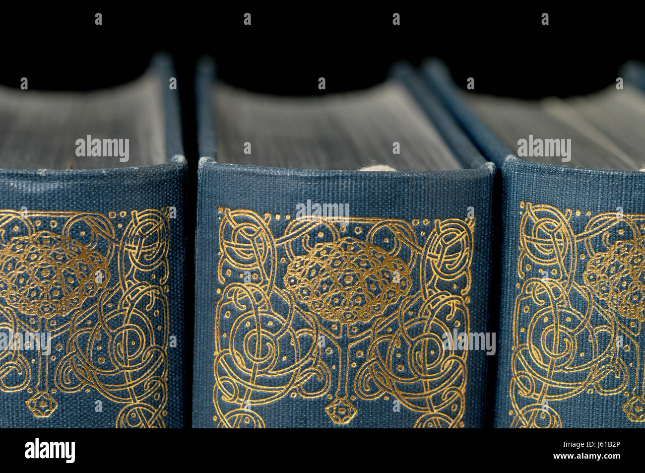 Book spine with gold writing hi-res stock photography and images - Alamy