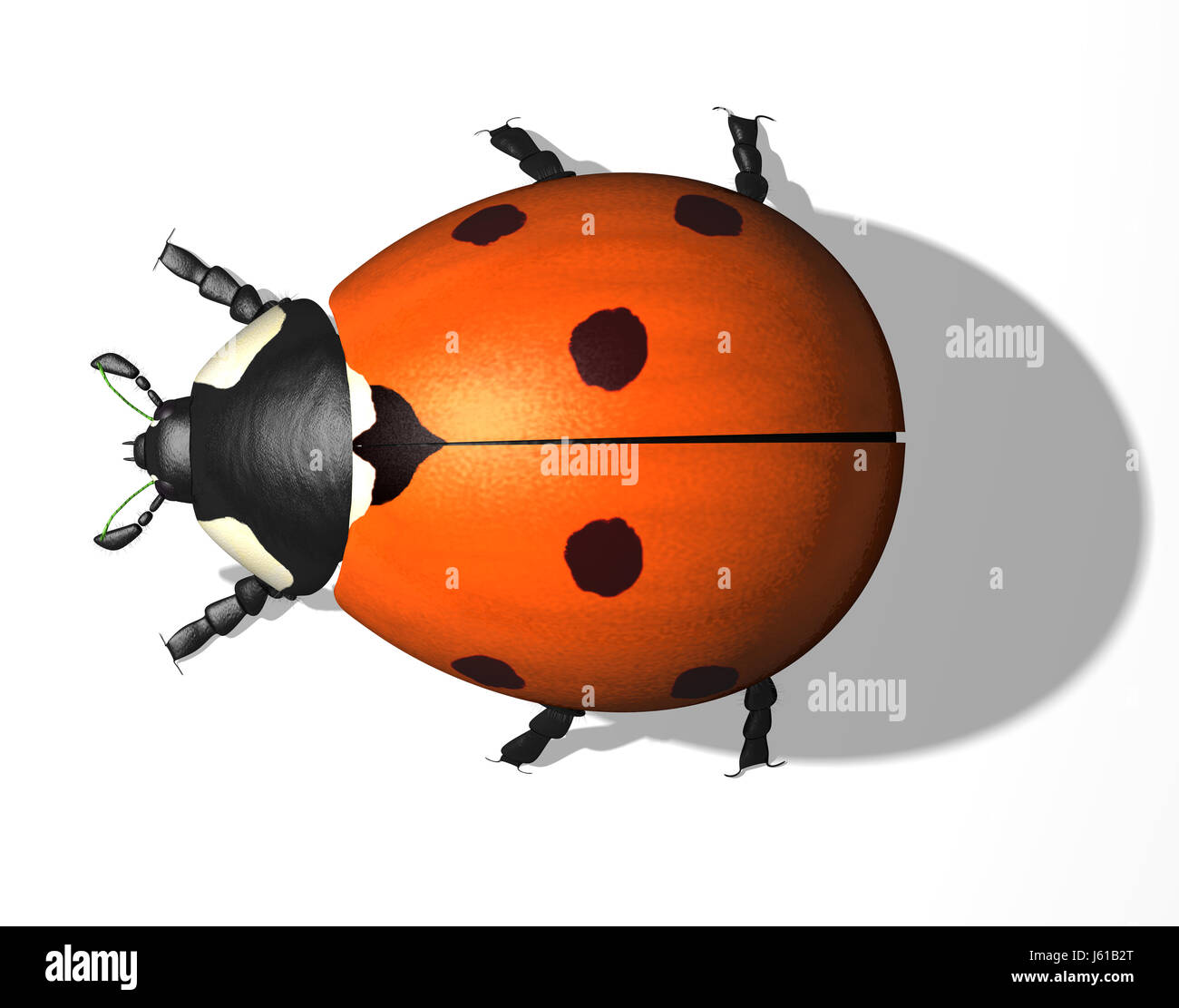 Topansicht hi-res stock photography and images - Alamy