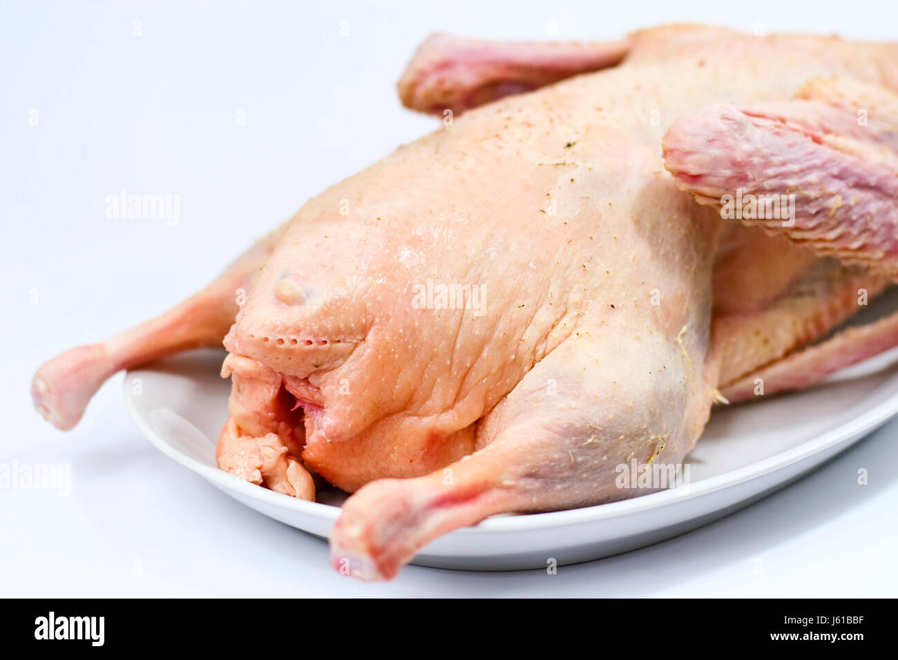 raw roast goose Stock Photo - Alamy