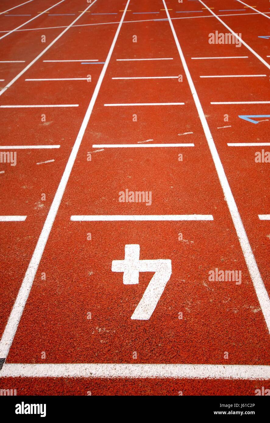 sport sports sporty athletic wiry pithy heavyset tight sporting track ...