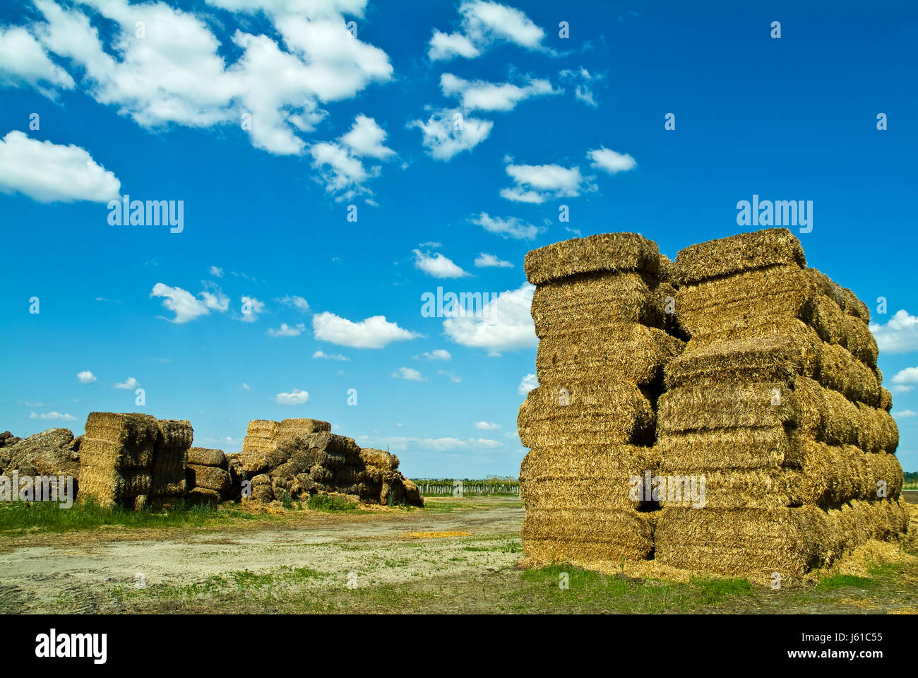 straw ball farmer straw grain cereal tower austrians stack straw ball ...