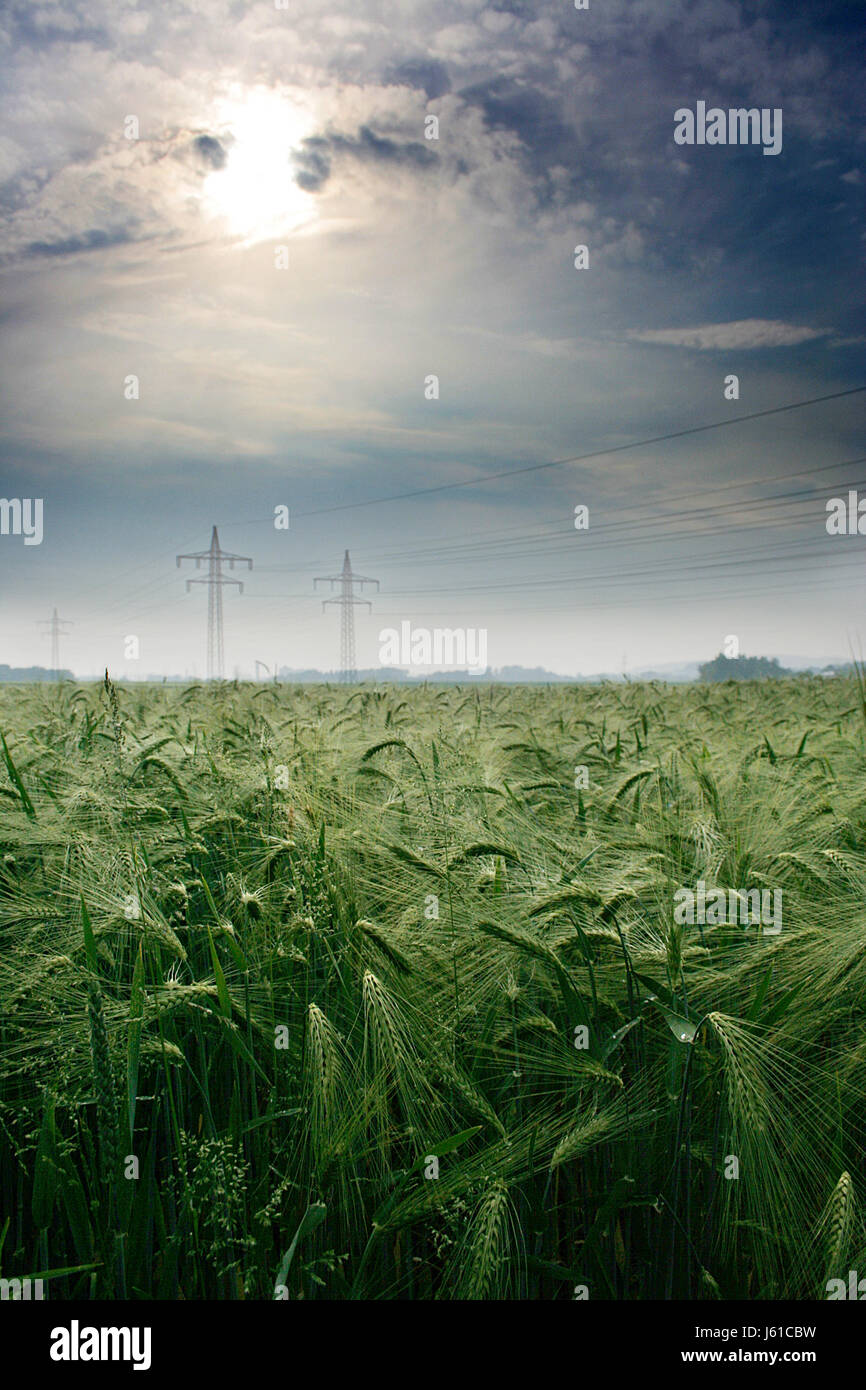 field grain energy power electricity electric power corn field shine ...