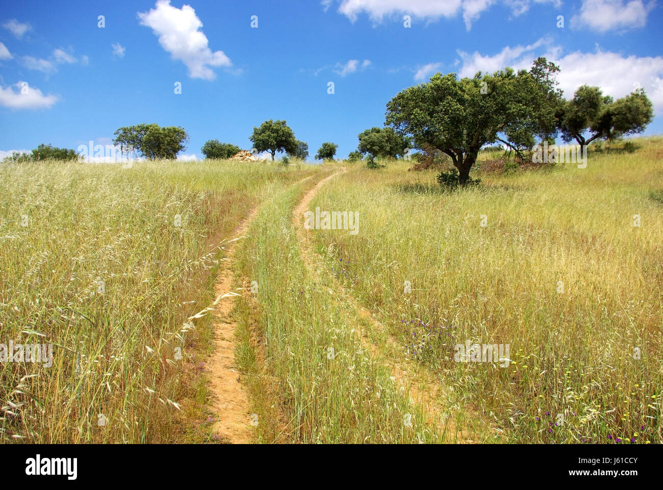 agriculture farming water mediterranean salt water sea ocean spring ...
