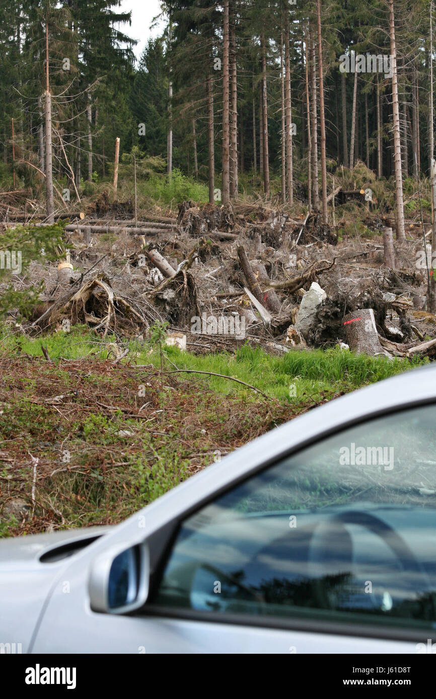 environment enviroment waldsterben damage damages detriments forest ...