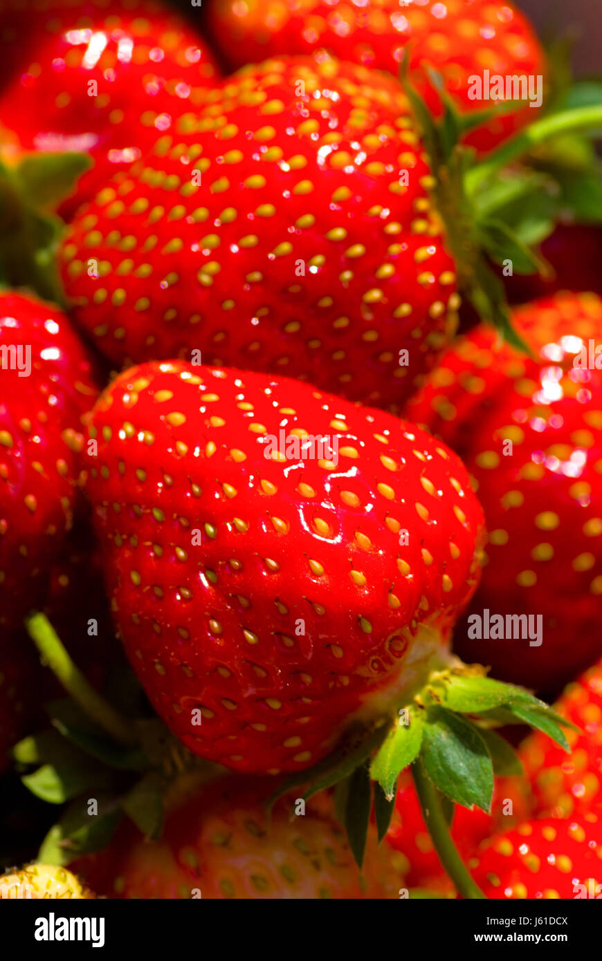 health progenies fruits fruit diet strawberry fit food aliment health ...
