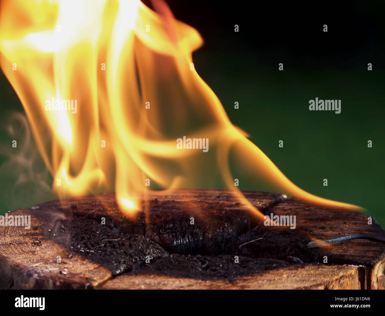 smoke smoking smokes fume wood trunk heat fire conflagration flame ...
