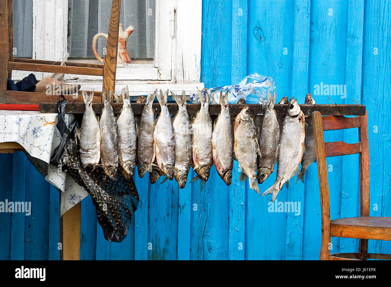 fish angle fisherman smoked smoke blue window porthole dormer window ...