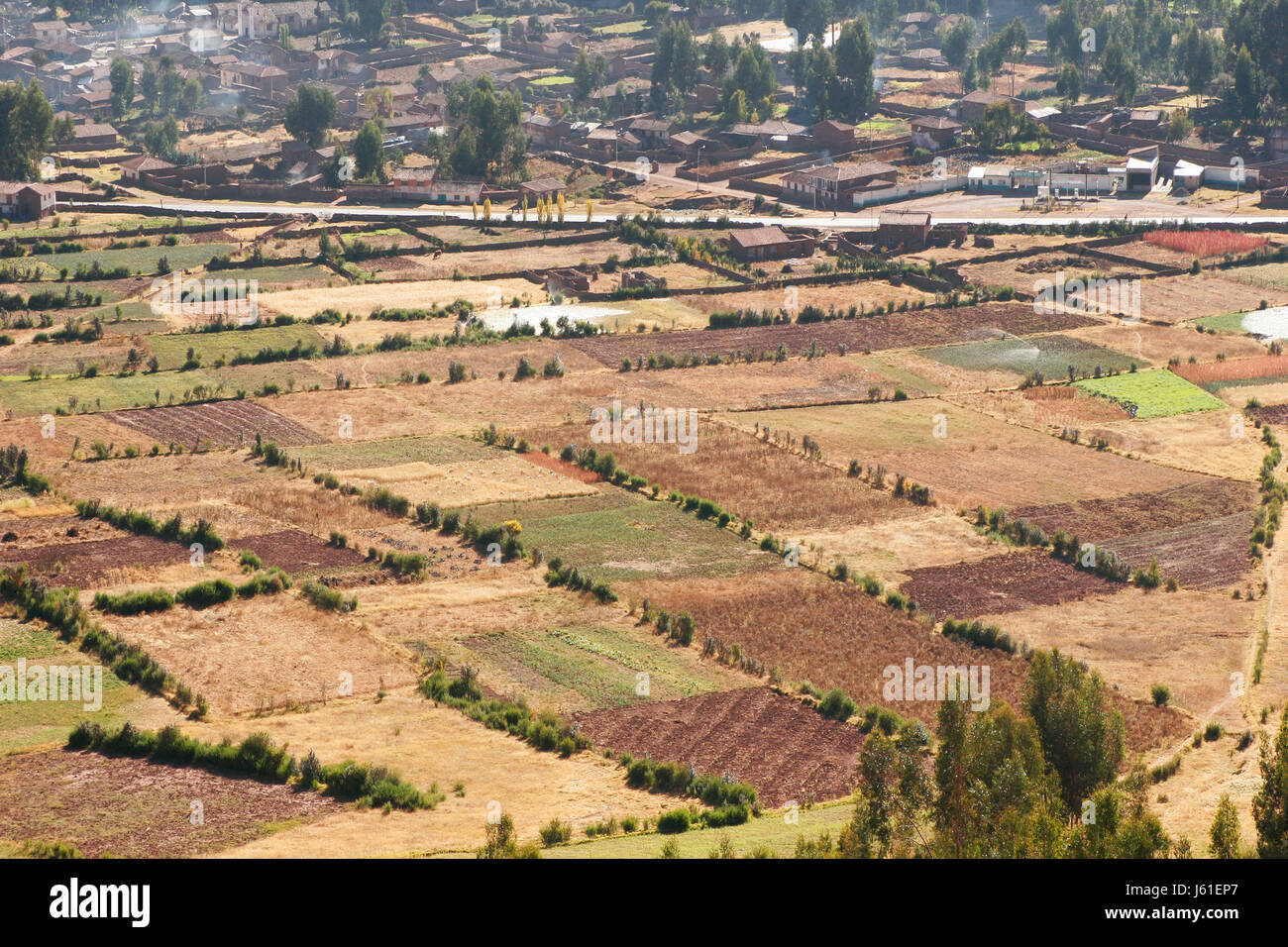 agriculture farming flora crops land peru landscape scenery countryside ...