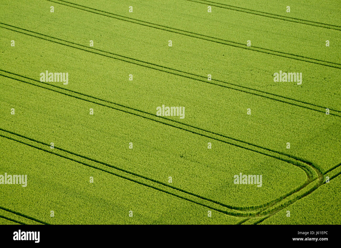 agriculture farming field acre corn field aerial view agrarian economy ...