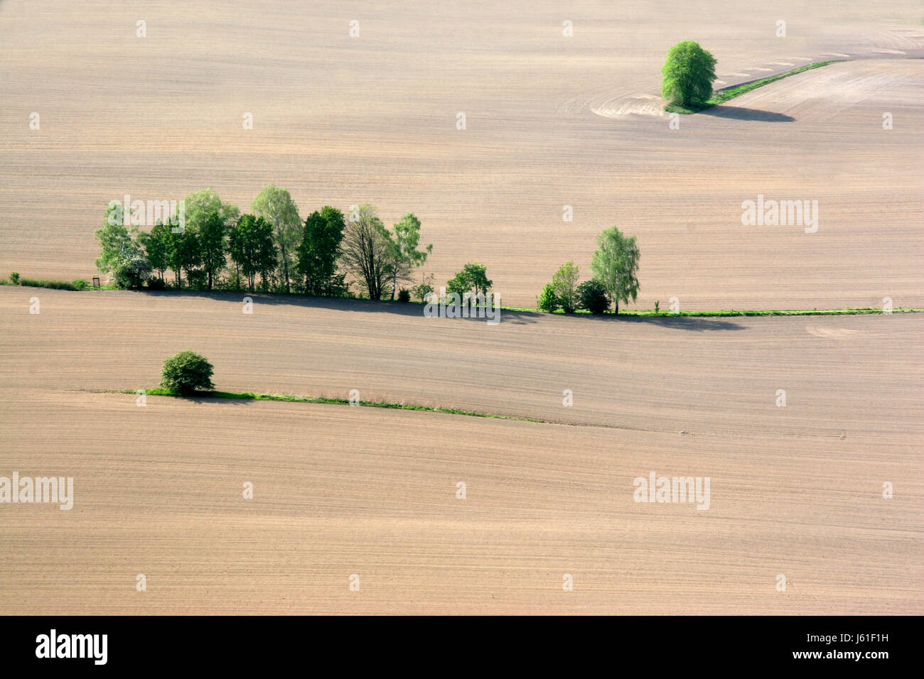 aerial perspective tree trees field acre aerial photograph scenery ...