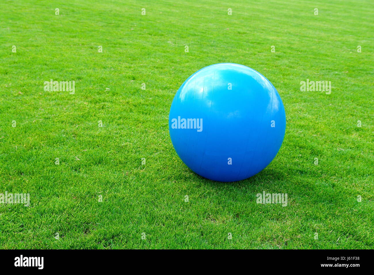 blue colour ball meadow lawn green blue colour ball contrast complete ...