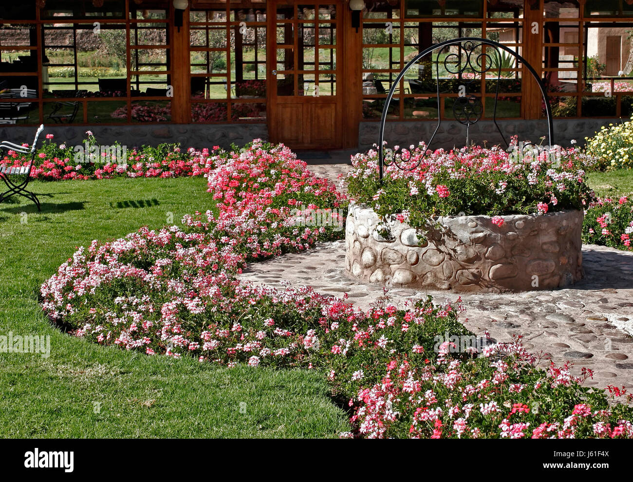 garden flower plant fauna outside well meadow grass lawn green ...