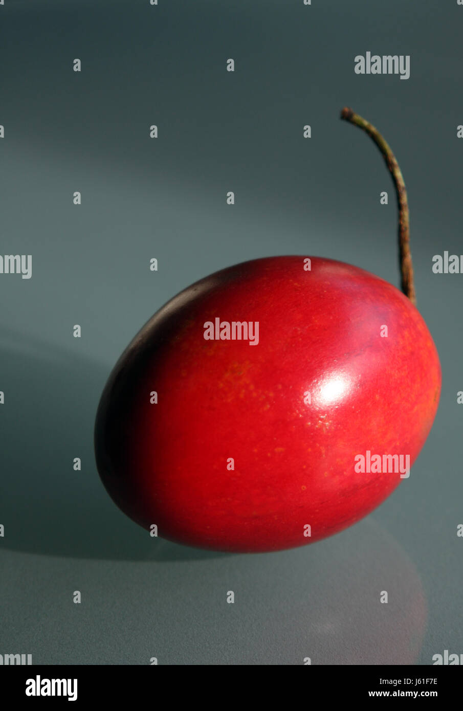 Ellipsoid fruit hi-res stock photography and images - Alamy