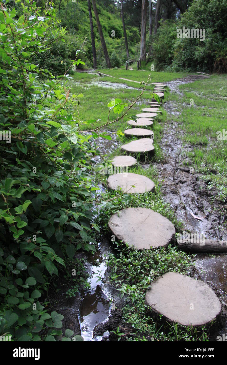 The Dotted Pathway Stock Photo - Alamy