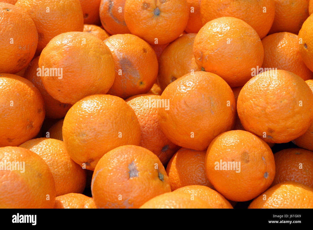 orange eco fruit cultivation oranges natural orange food aliment eco ...