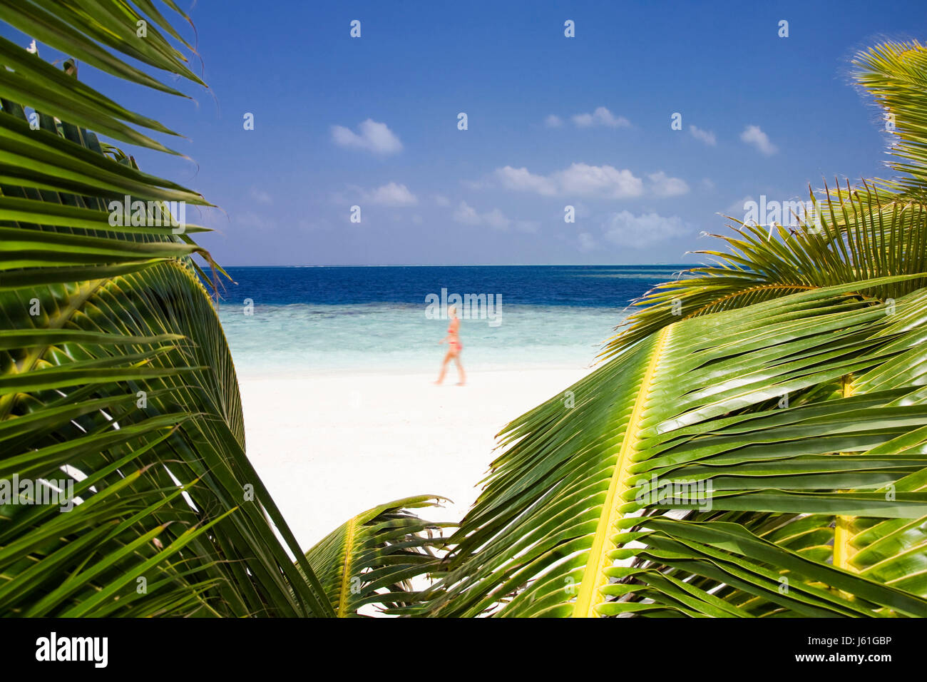 humans human beings people folk persons human human being beach seaside ...