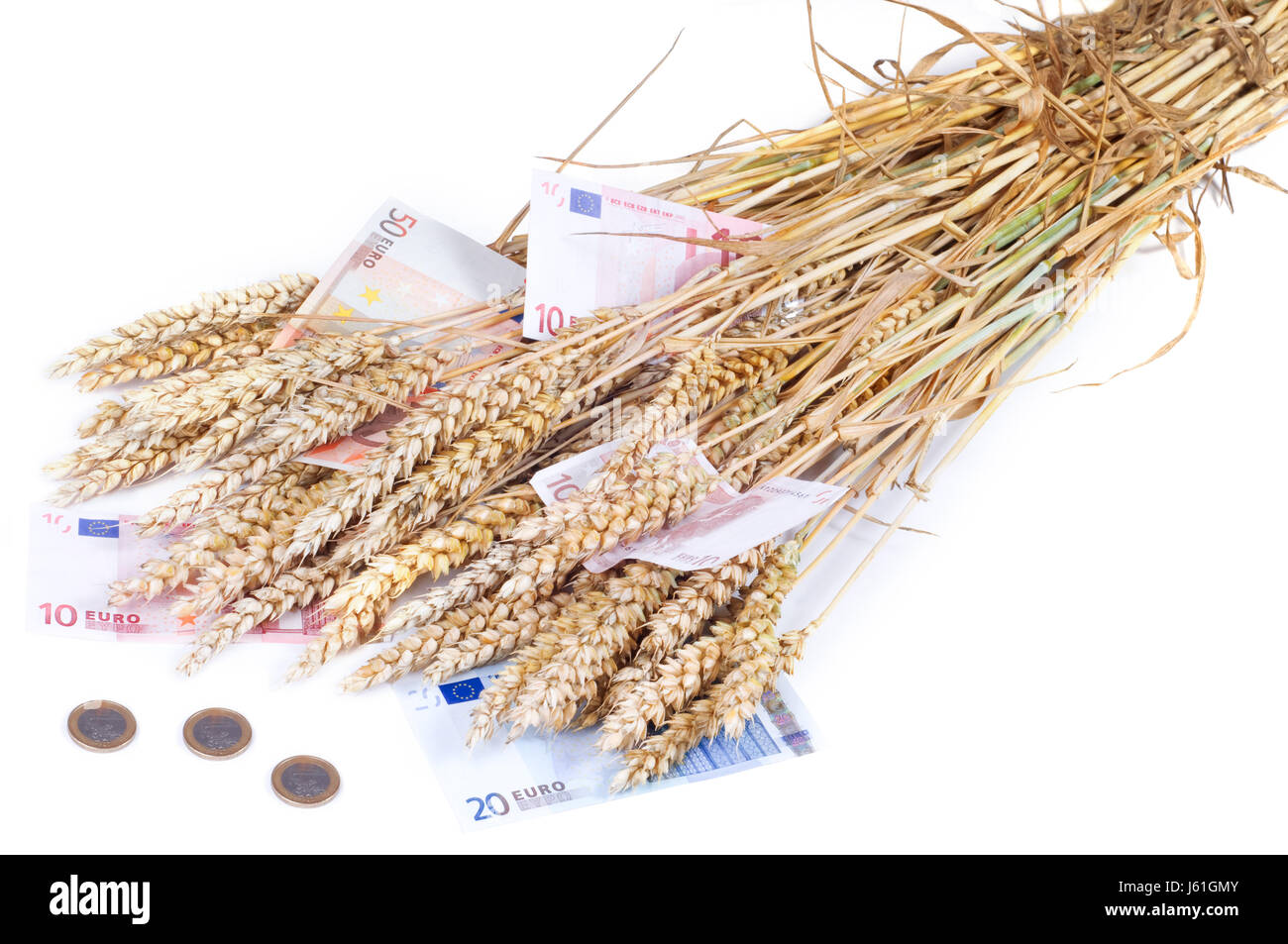 euro harvest wheat financial corn success money model design project ...