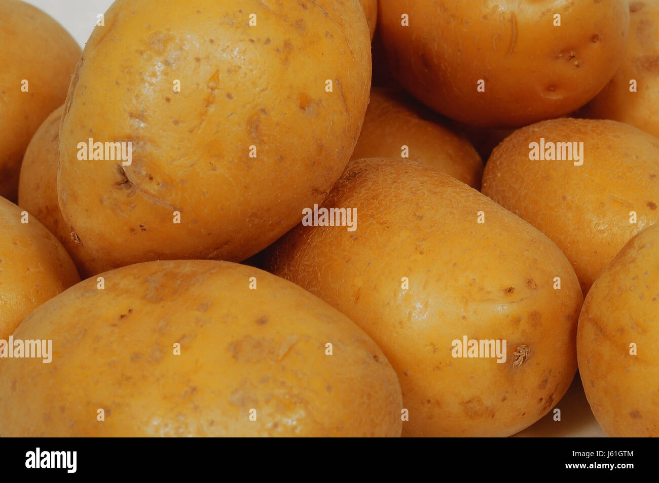 Futterkartoffeln hi-res stock photography and images - Alamy