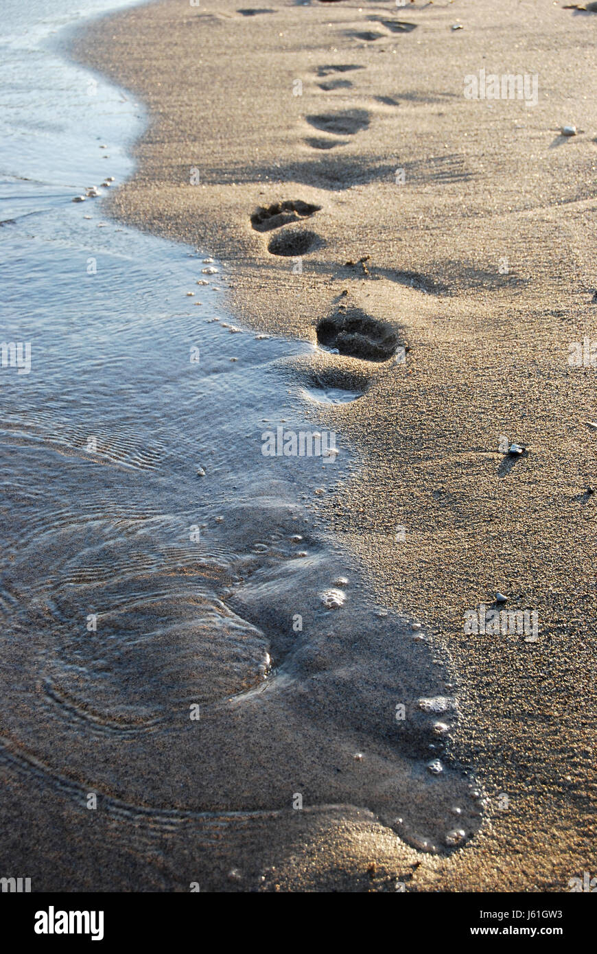 2 foot hi-res stock photography and images - Alamy