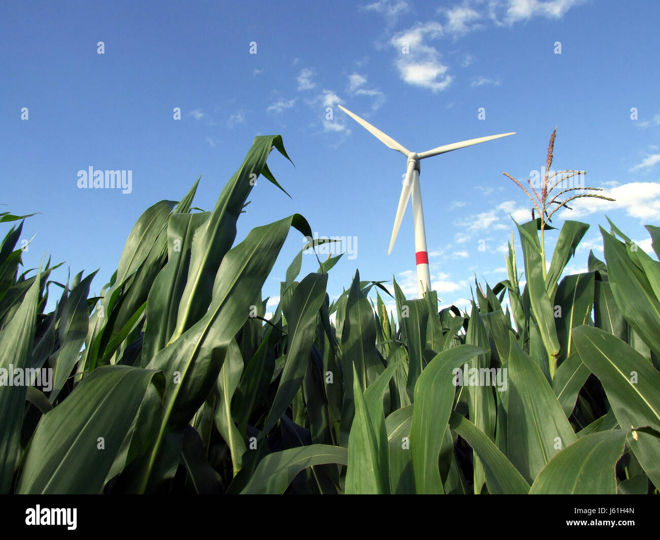 wind energy 1 Stock Photo - Alamy