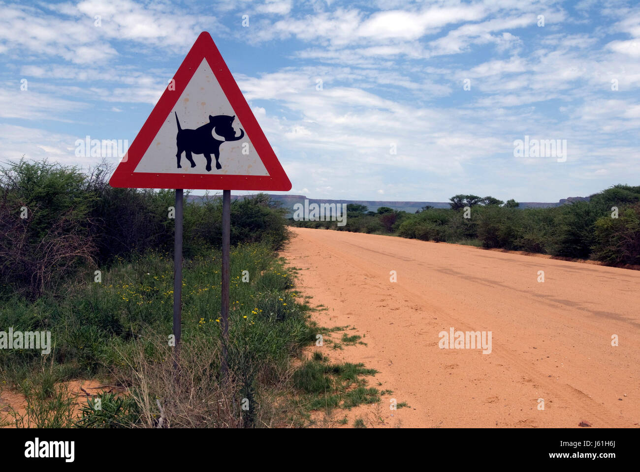 sign signal wild africa namibia track traffic sign warning warthog ...