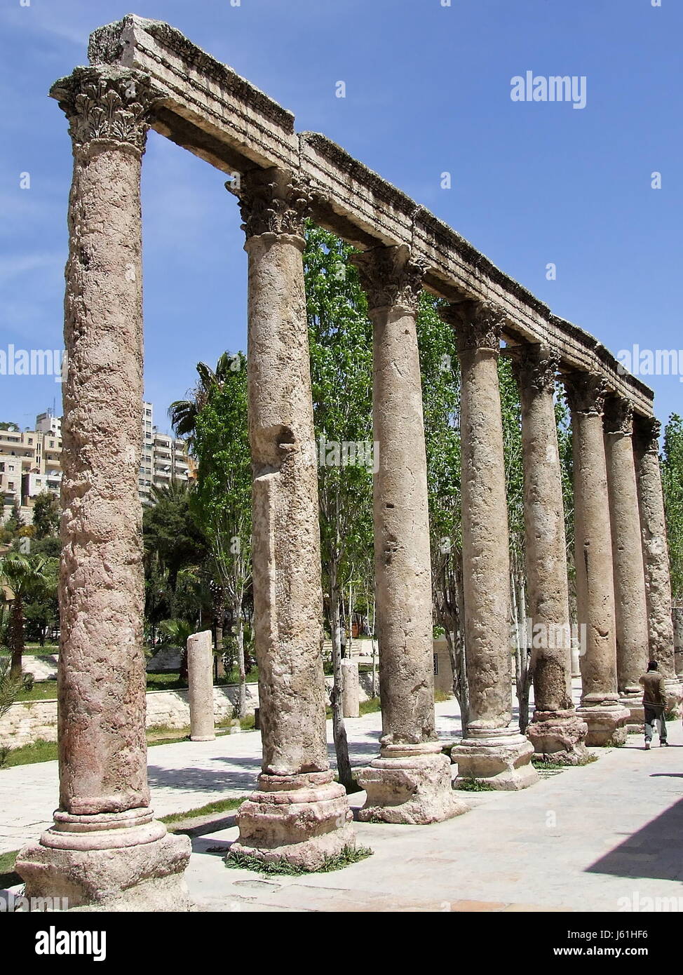 columns roman panel house building story tree antique pillar jordan ...