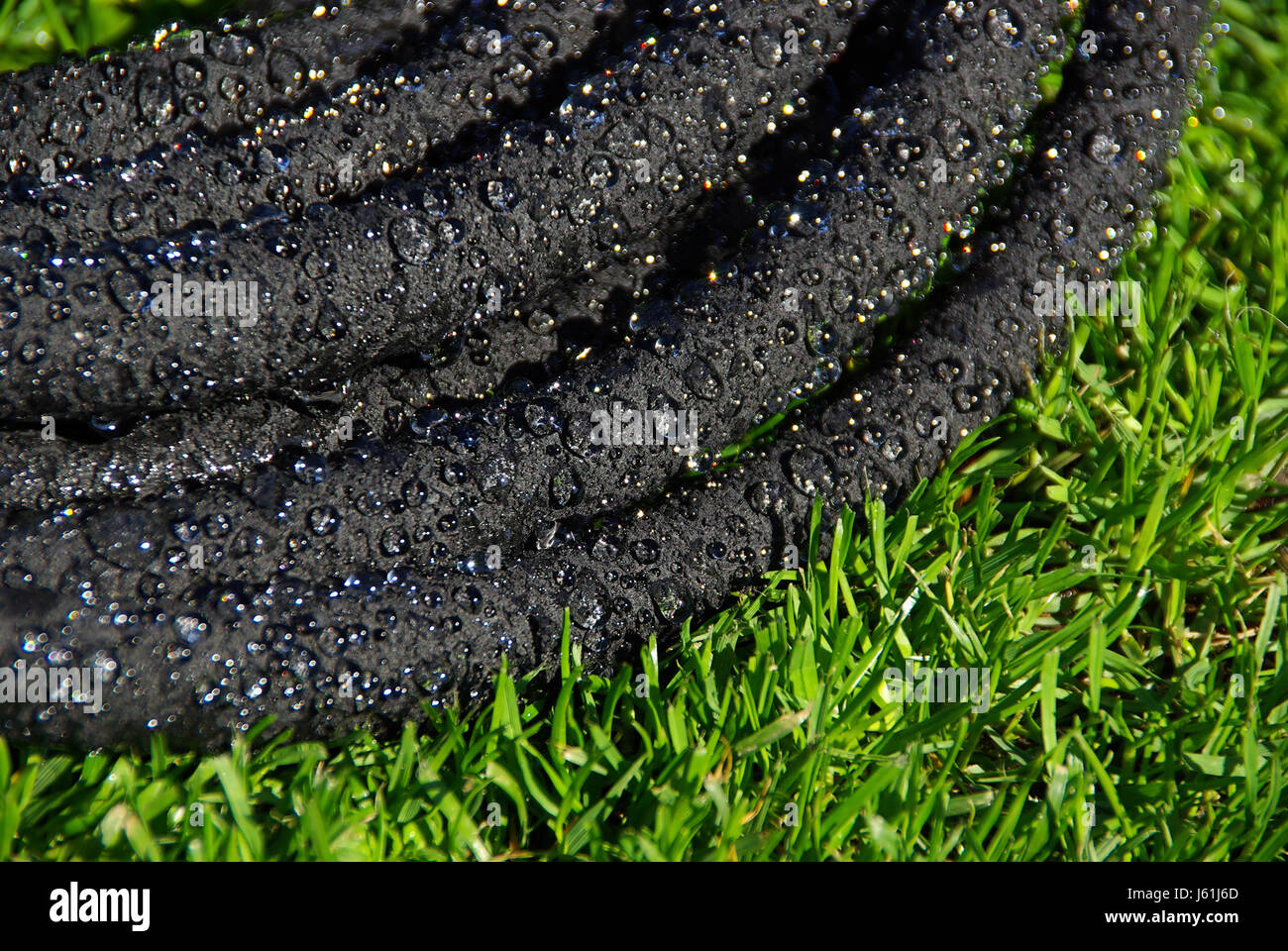 Porous watering hose hi-res stock photography and images - Alamy