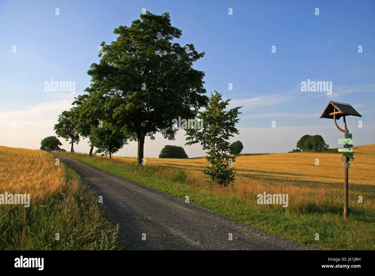upwards fields direction signpost crossing destination path way sign ...