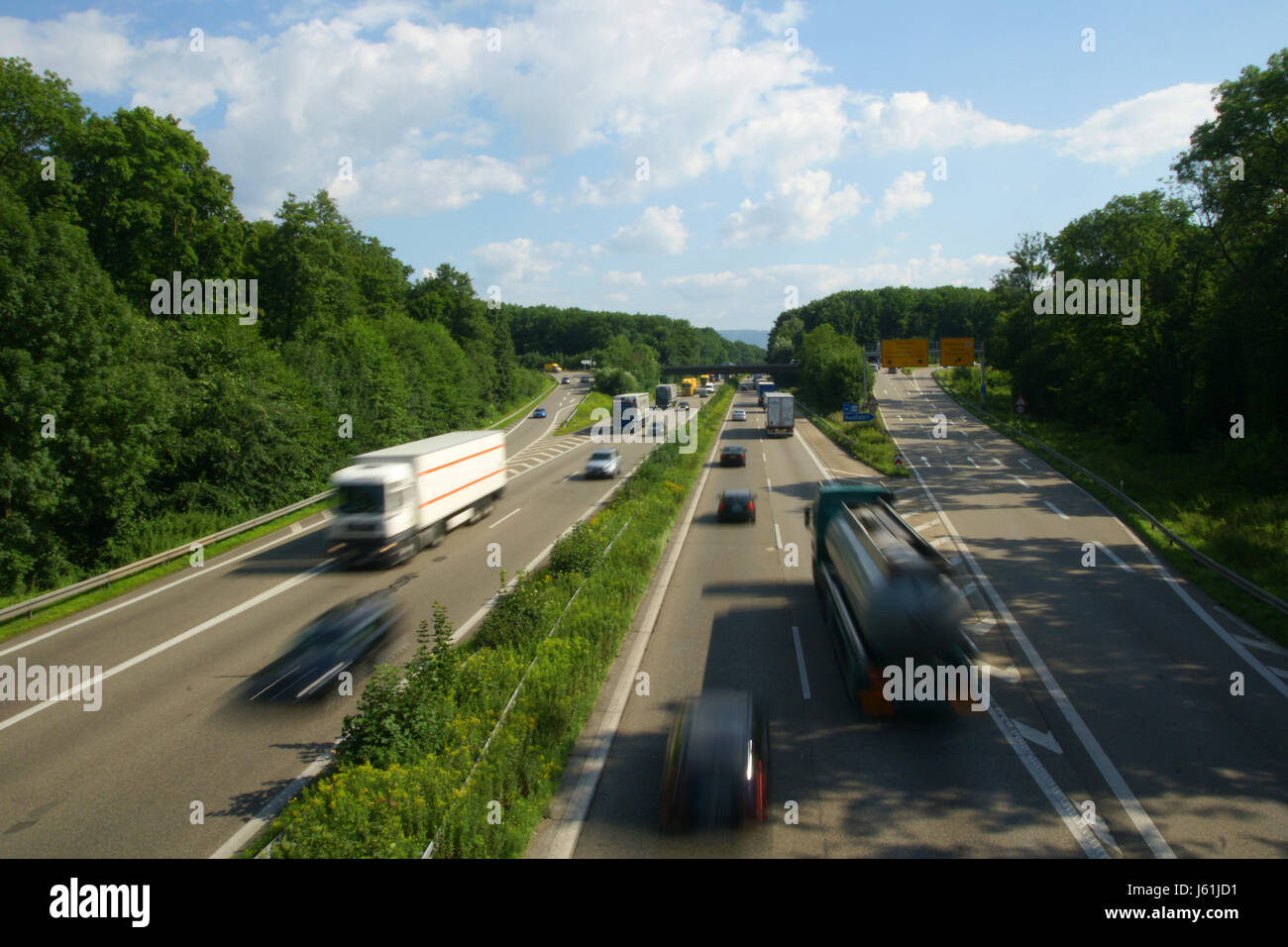 drive tree car automobile vehicle means of travel motor vehicle ...