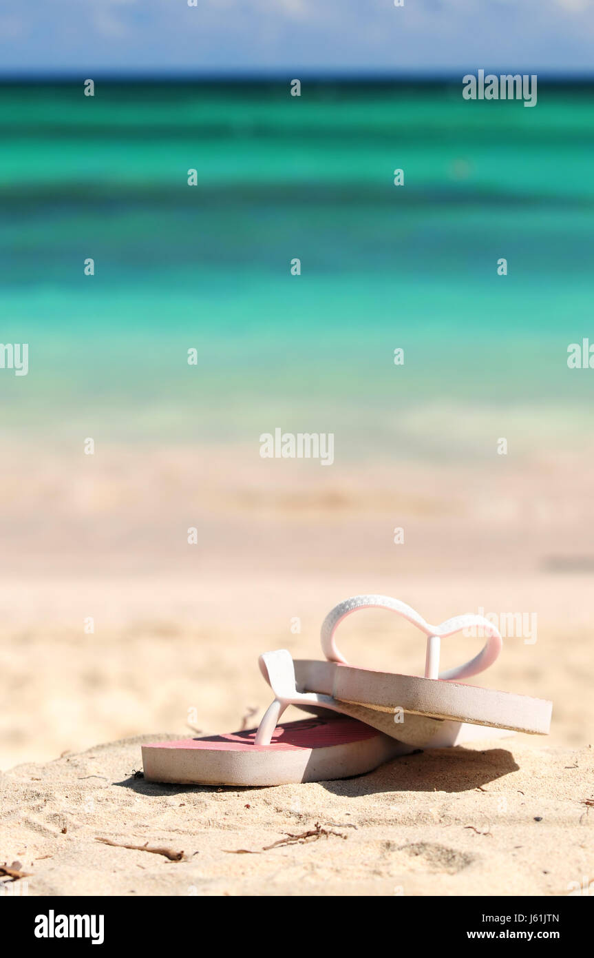 ankle-strap sandal sandals sandal salt water sea ocean water flip-flops ...