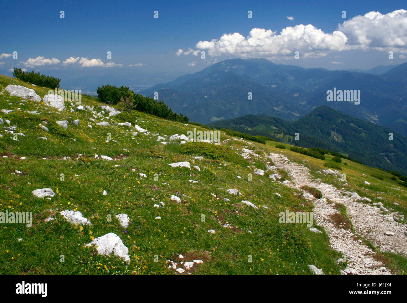 walk on the hochobir Stock Photo - Alamy
