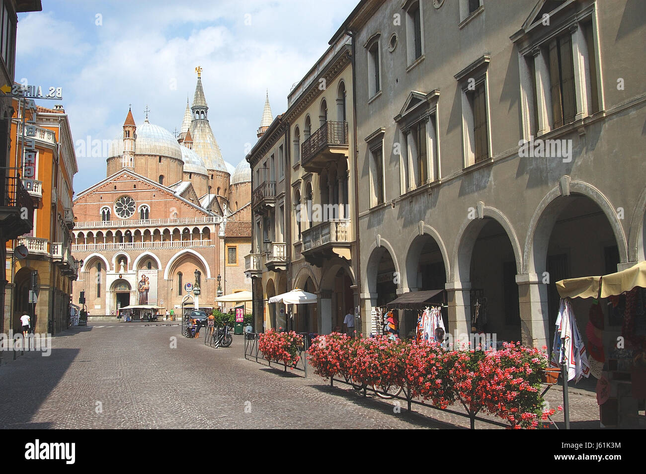 sights flower flowers plant townscape style of construction ...