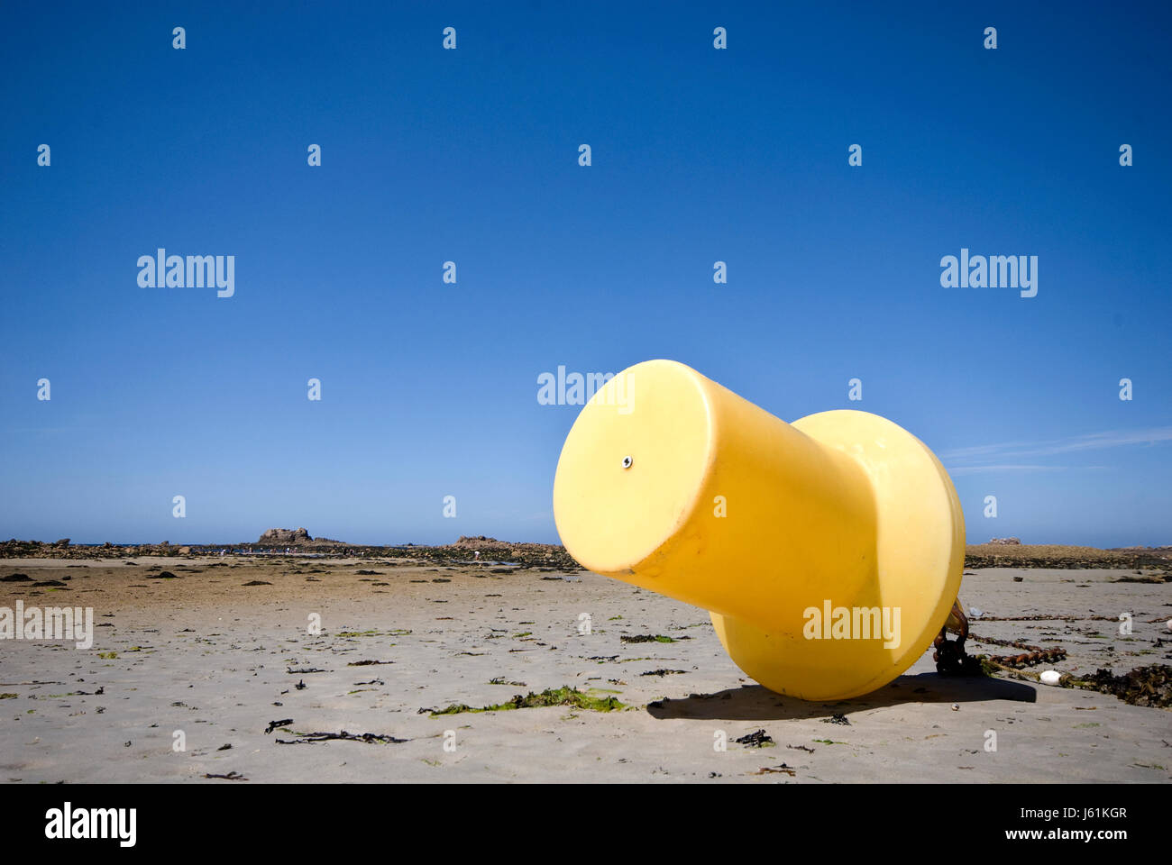 beach seaside the beach seashore sandy beach low tide buoy chained salt ...