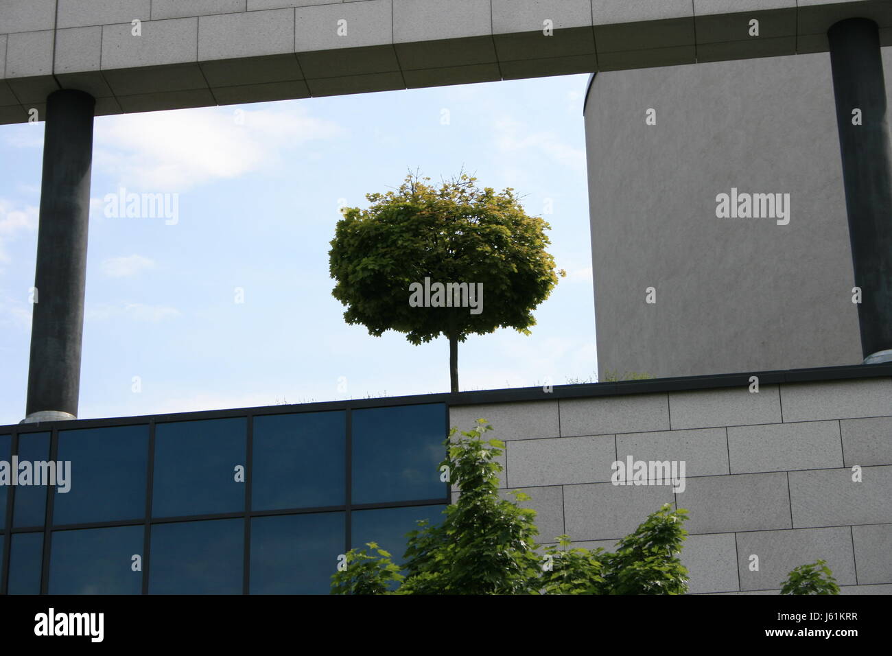 tree modern modernity facade style of construction architecture ...