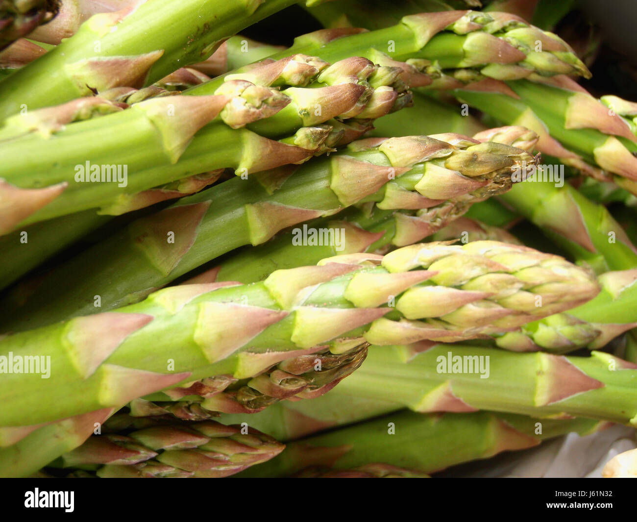 green vegetable asparagus stalk stem green heads vegetable asparagus ...