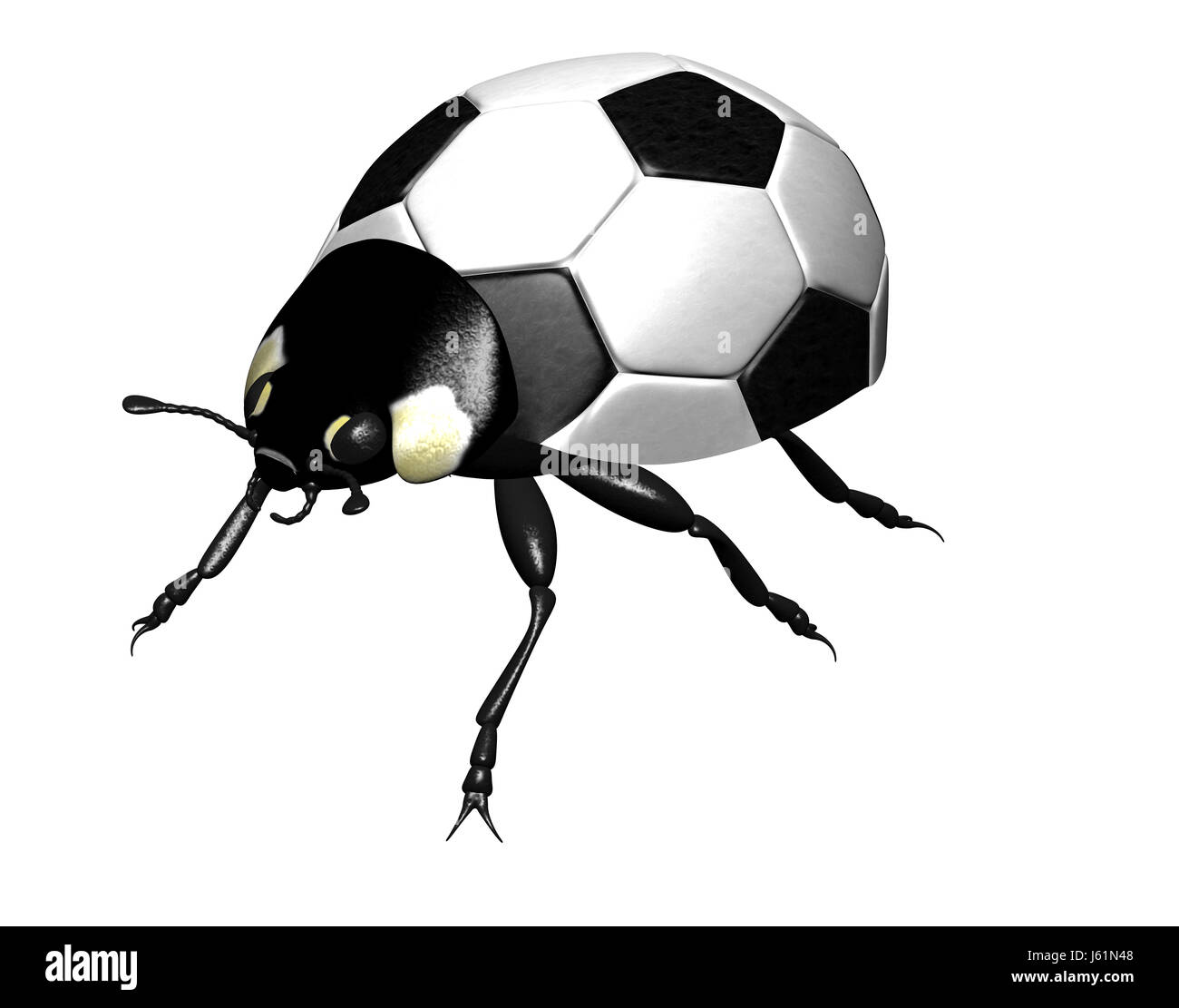ladybug than football Stock Photo - Alamy