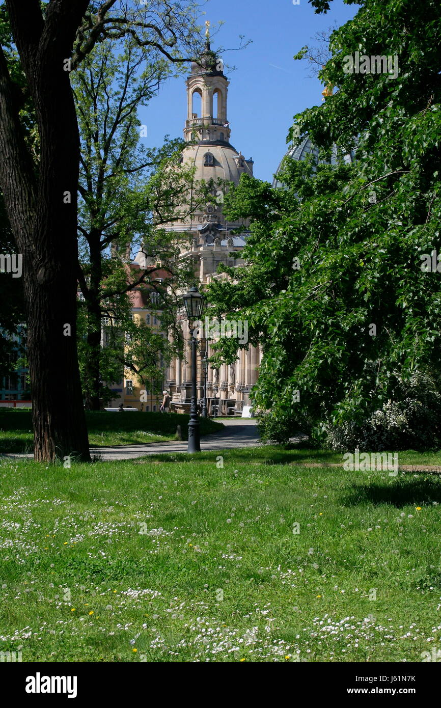 historical old town sightseeing saxony Dresden city town flower plant ...