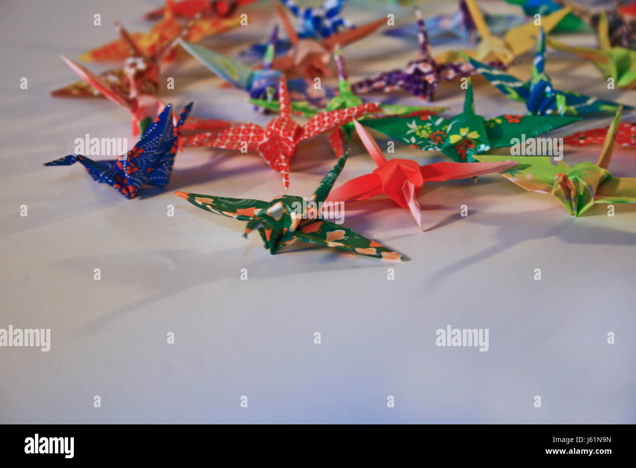 colour coloured colourful gorgeous multifarious richly coloured crane ...